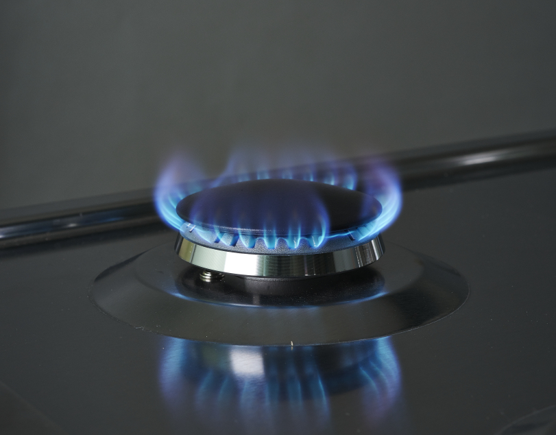 Generations 4 range burner gas stoves LPG countertop for indoor use NZ ...